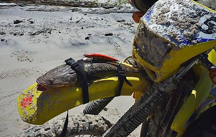 Cairns Fishing and Motorbike Riding Tours - 6 Days Of Bliss